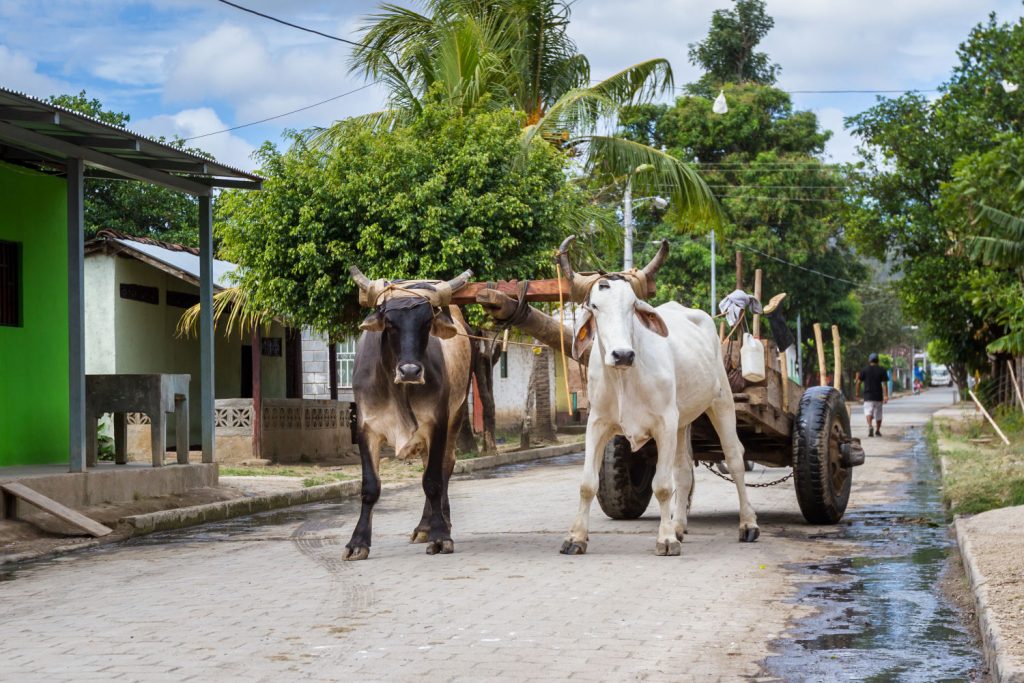 Visit Nicaragua: Experience Real Nicaraguan Culture